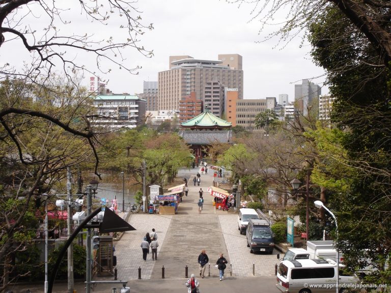 Ueno : le quartier populaire pour son parc et son marché