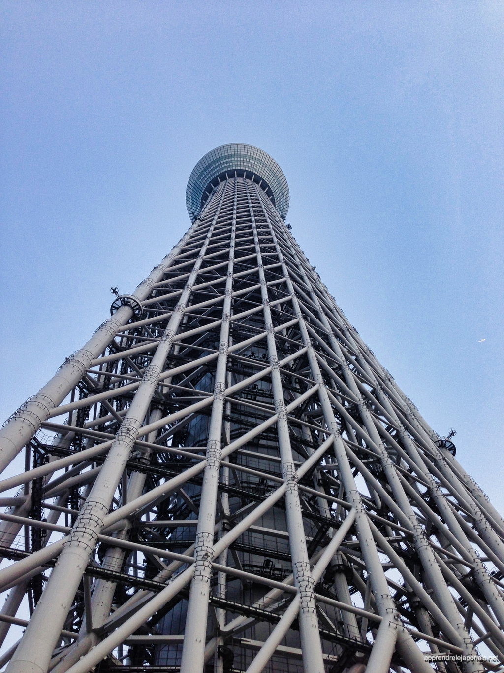 Tokyo Skytree : La tour la plus haute et symbolique du Japon